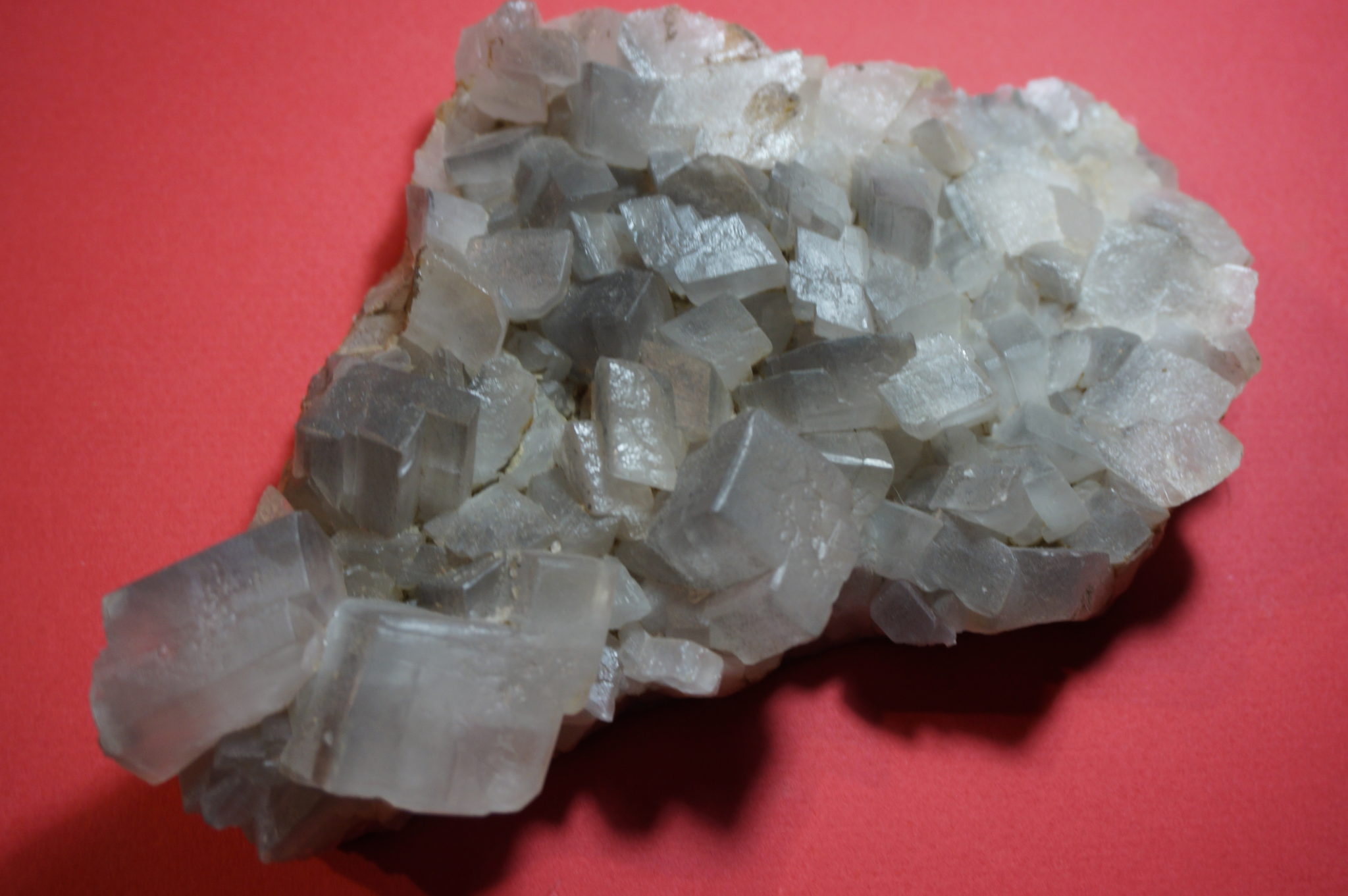 "Les marnes du sud-est de la France" par Michel Brouty - Cercle d ...